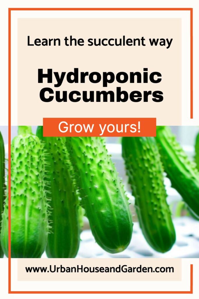 Hydroponic Cucumbers: The succulent way - Urban House Garden