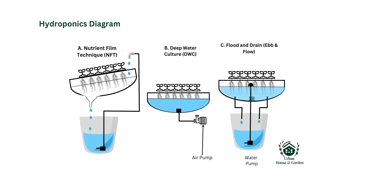 Hydroponics Diagram: Fresh Guidance - Urban House Garden